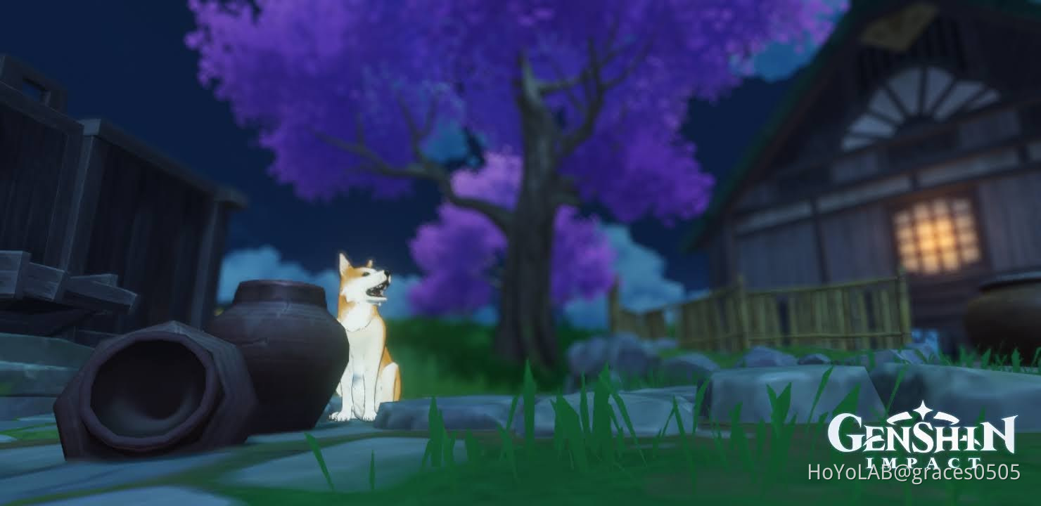 Inazuma Plum Blossoms Genshin Impact | HoYoLAB