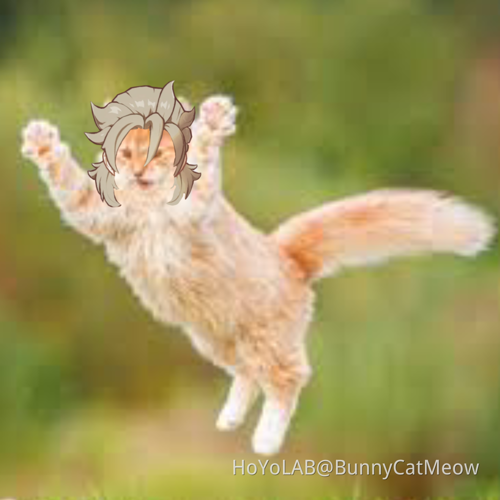 Cat-Bedo Genshin Impact | HoYoLAB