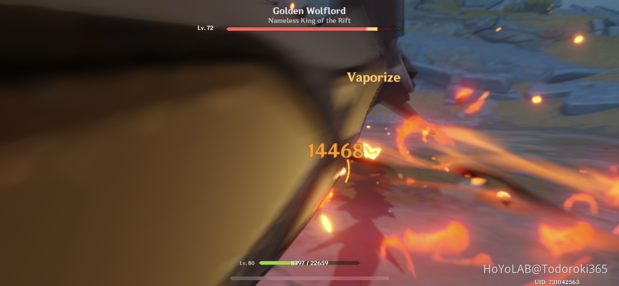 How to defeat golden wolf lord Genshin Impact | HoYoLAB