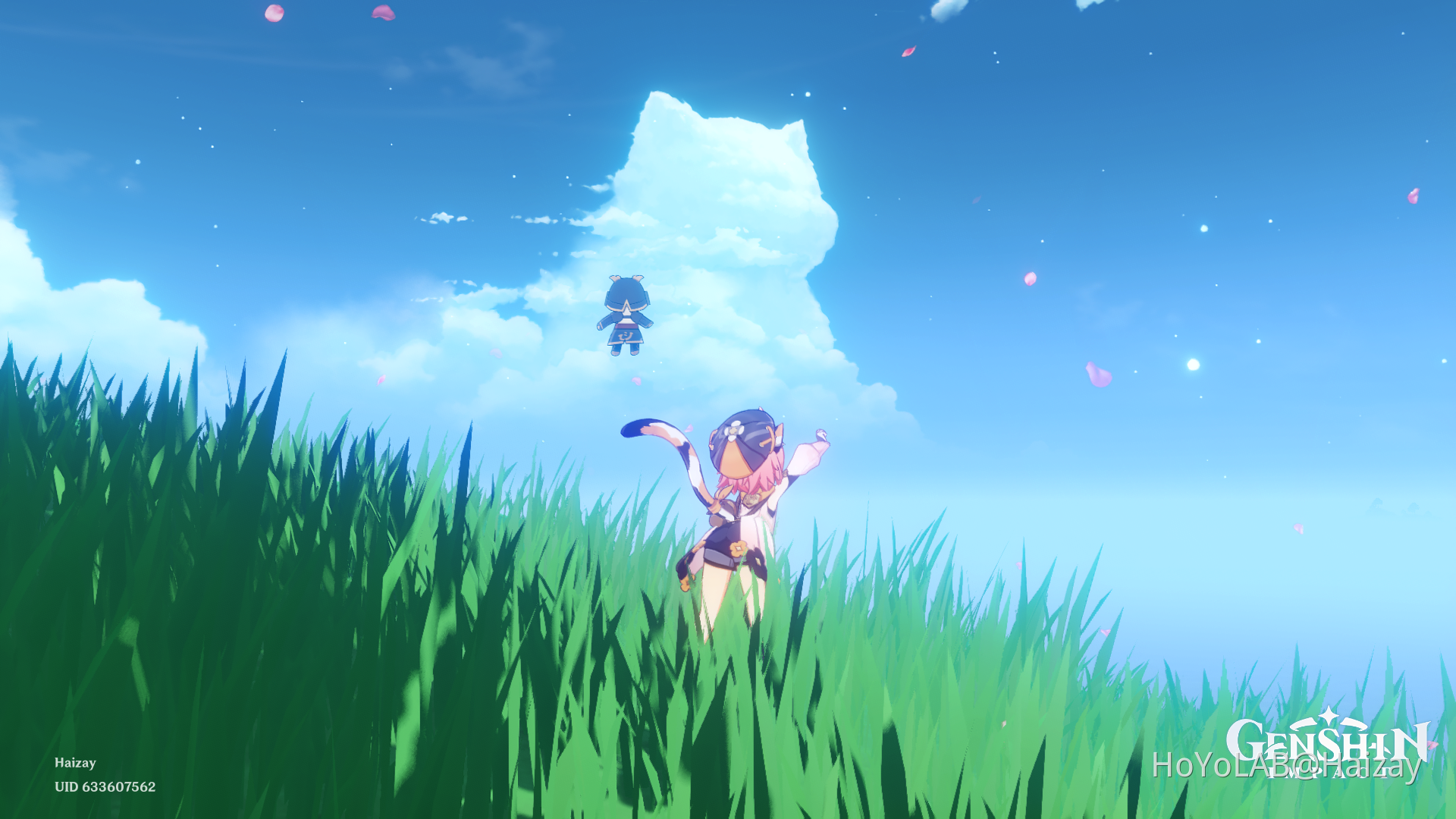kitty cloud Genshin Impact | HoYoLAB