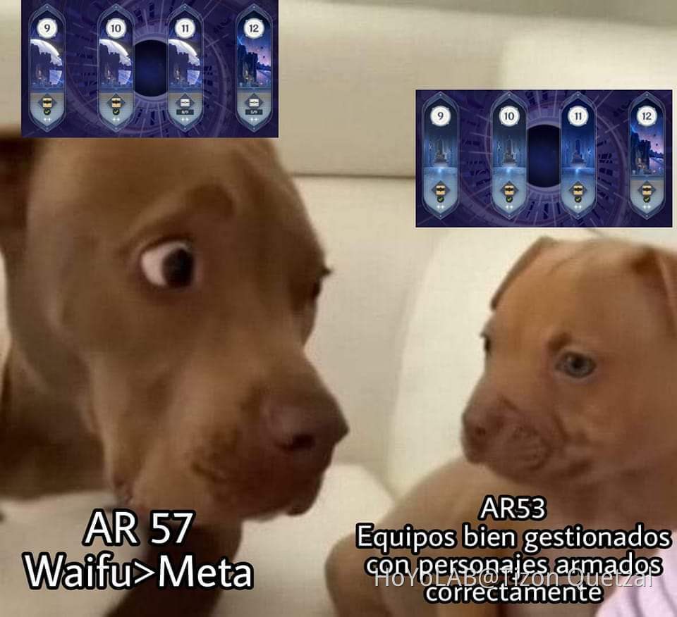 Team Waifu Genshin Impact | HoYoLAB