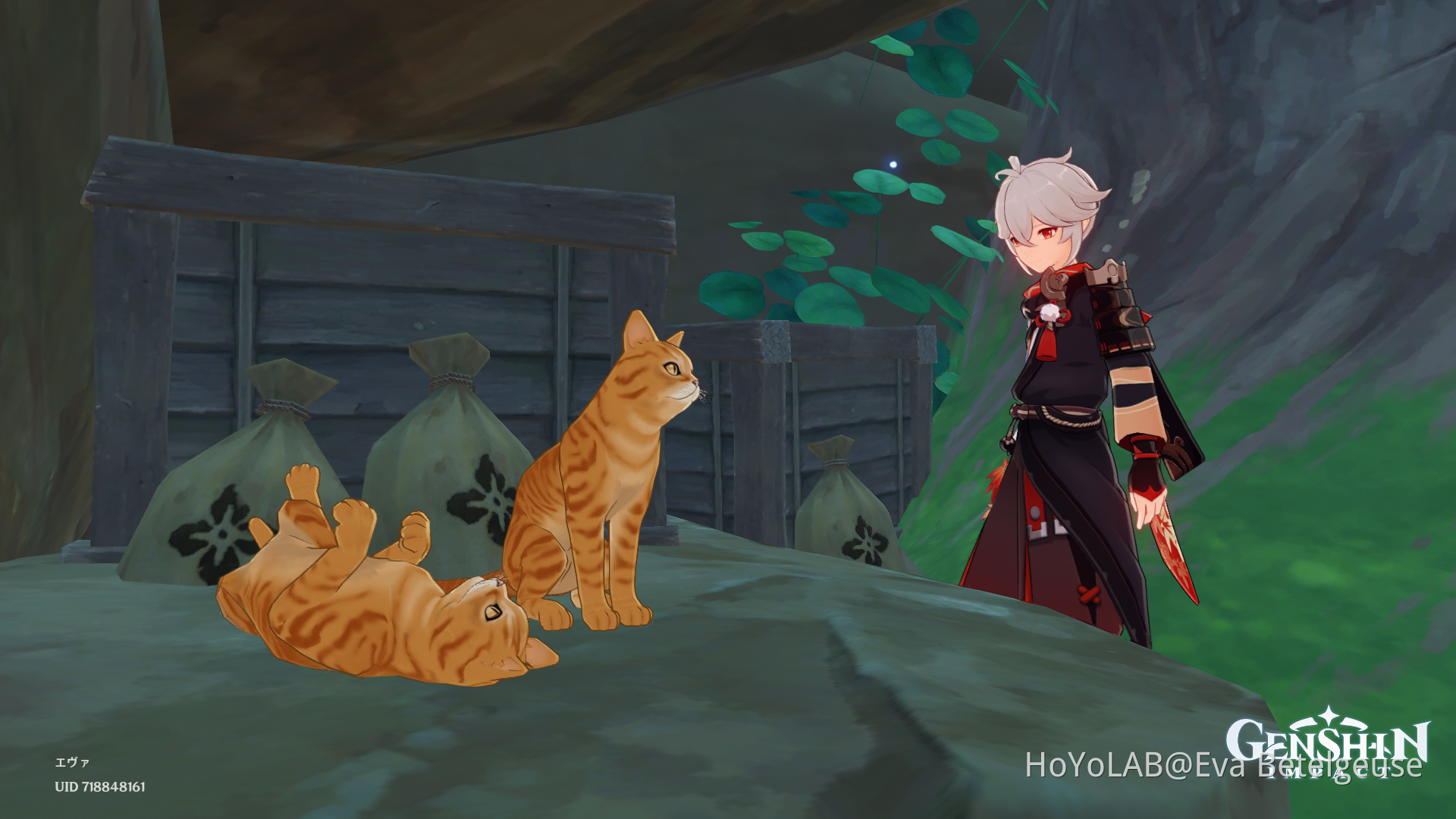 I just like it 🧡 Genshin Impact | HoYoLAB