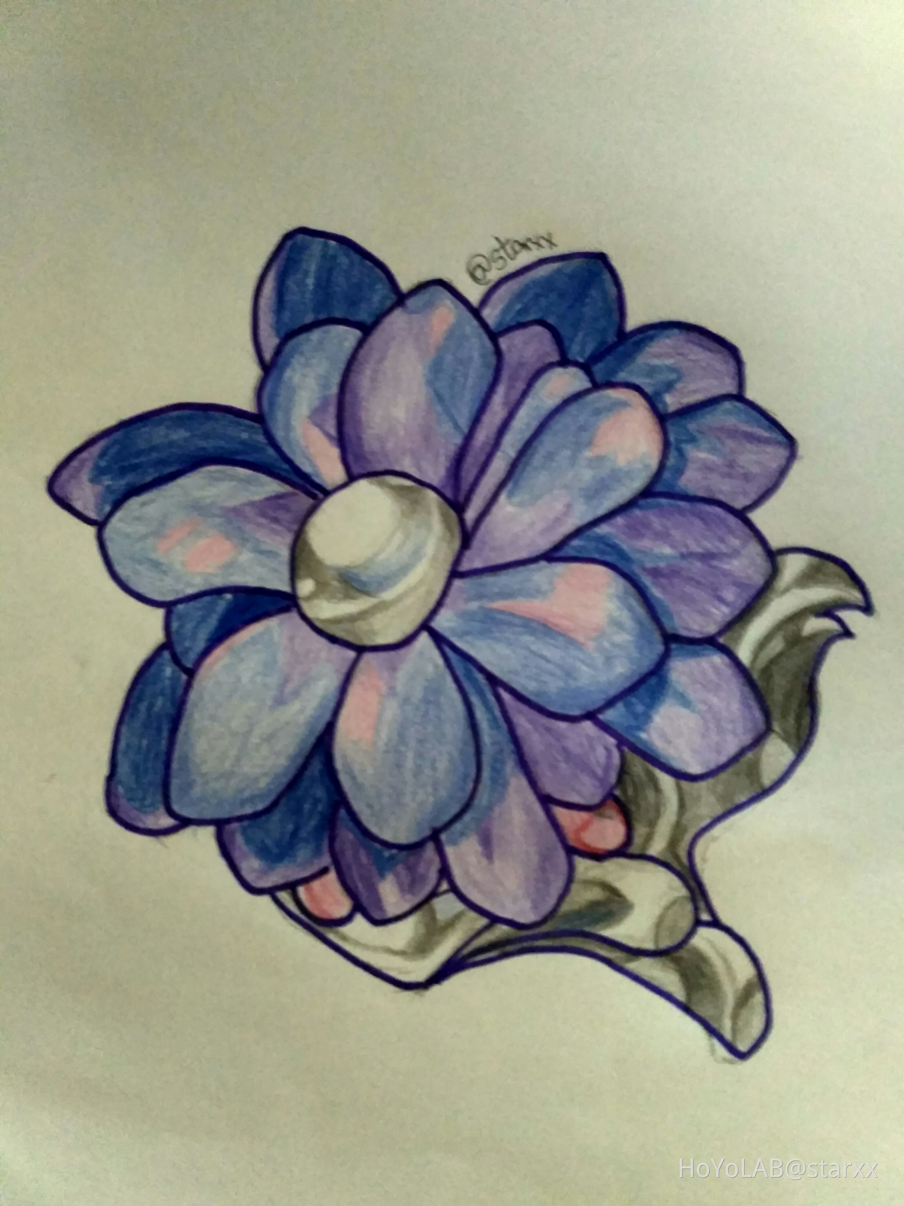 ocean-Hued clam - flower of life Genshin Impact | HoYoLAB