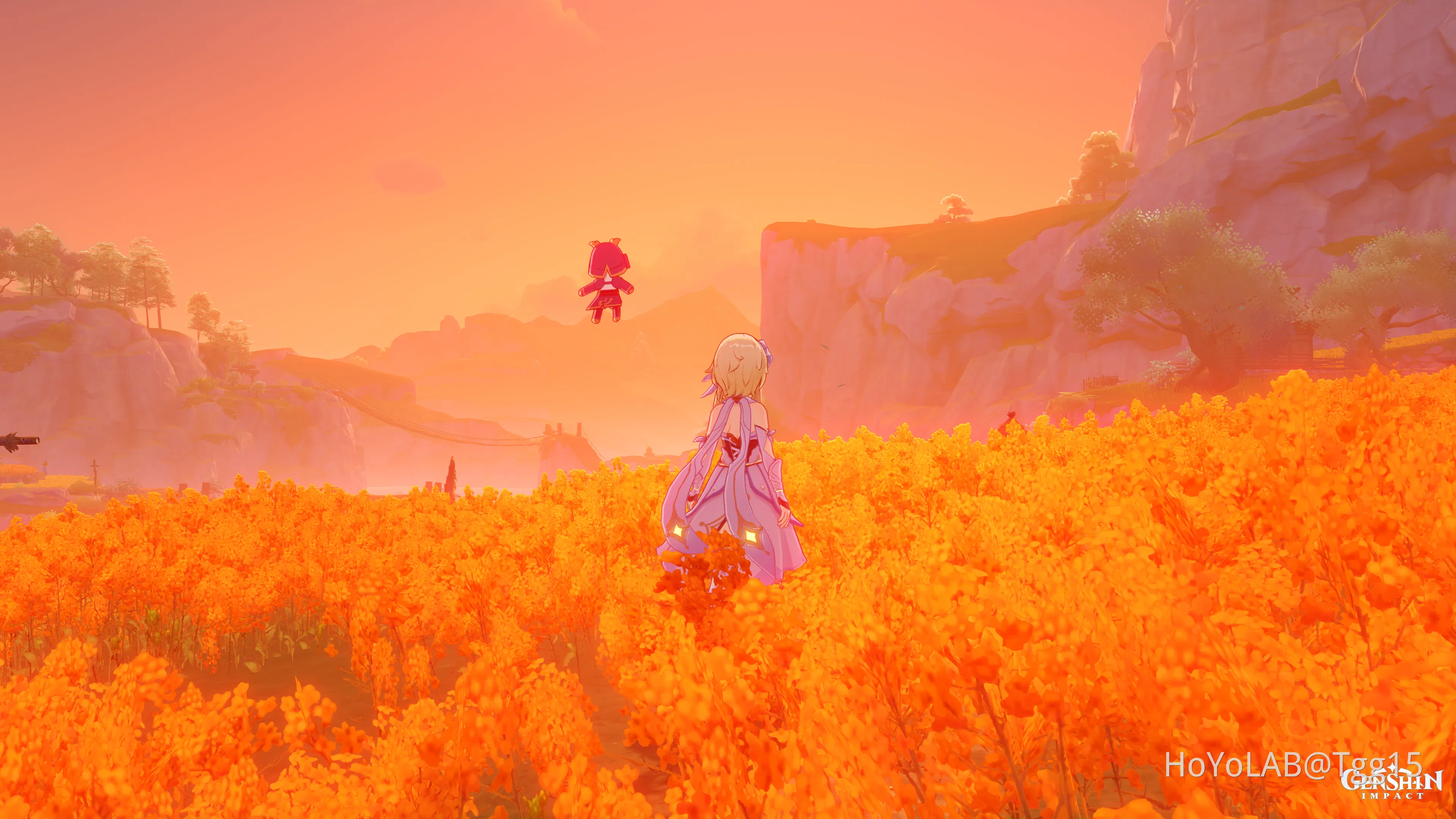 flower field Genshin Impact | HoYoLAB