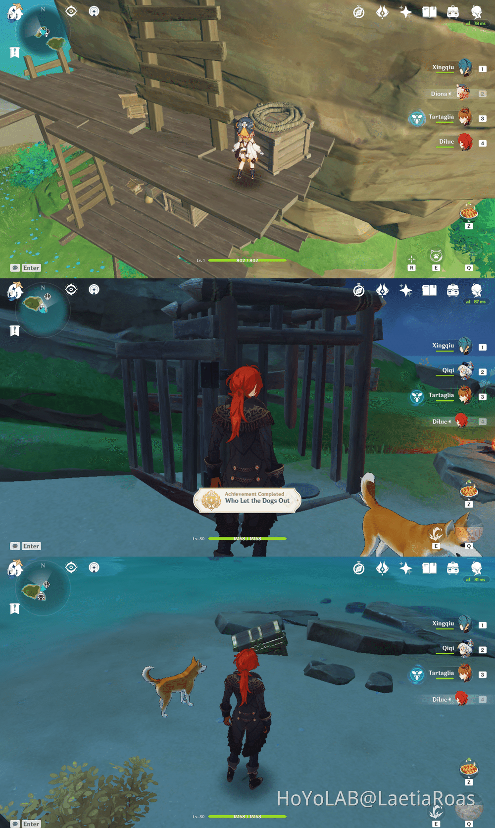 "Who Let the Dogs Out" Hidden Achievement in Narukami Island, Inazuma ...