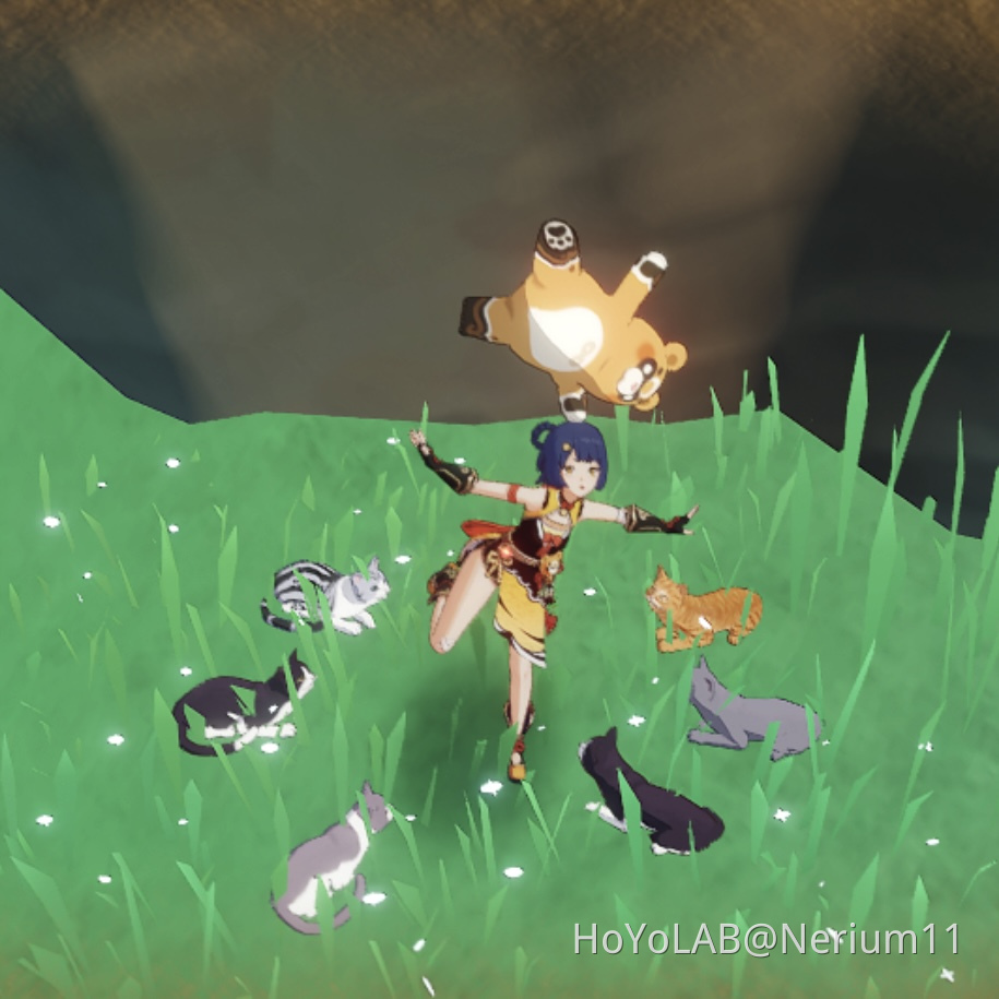 Kitty Cult Genshin Impact | HoYoLAB