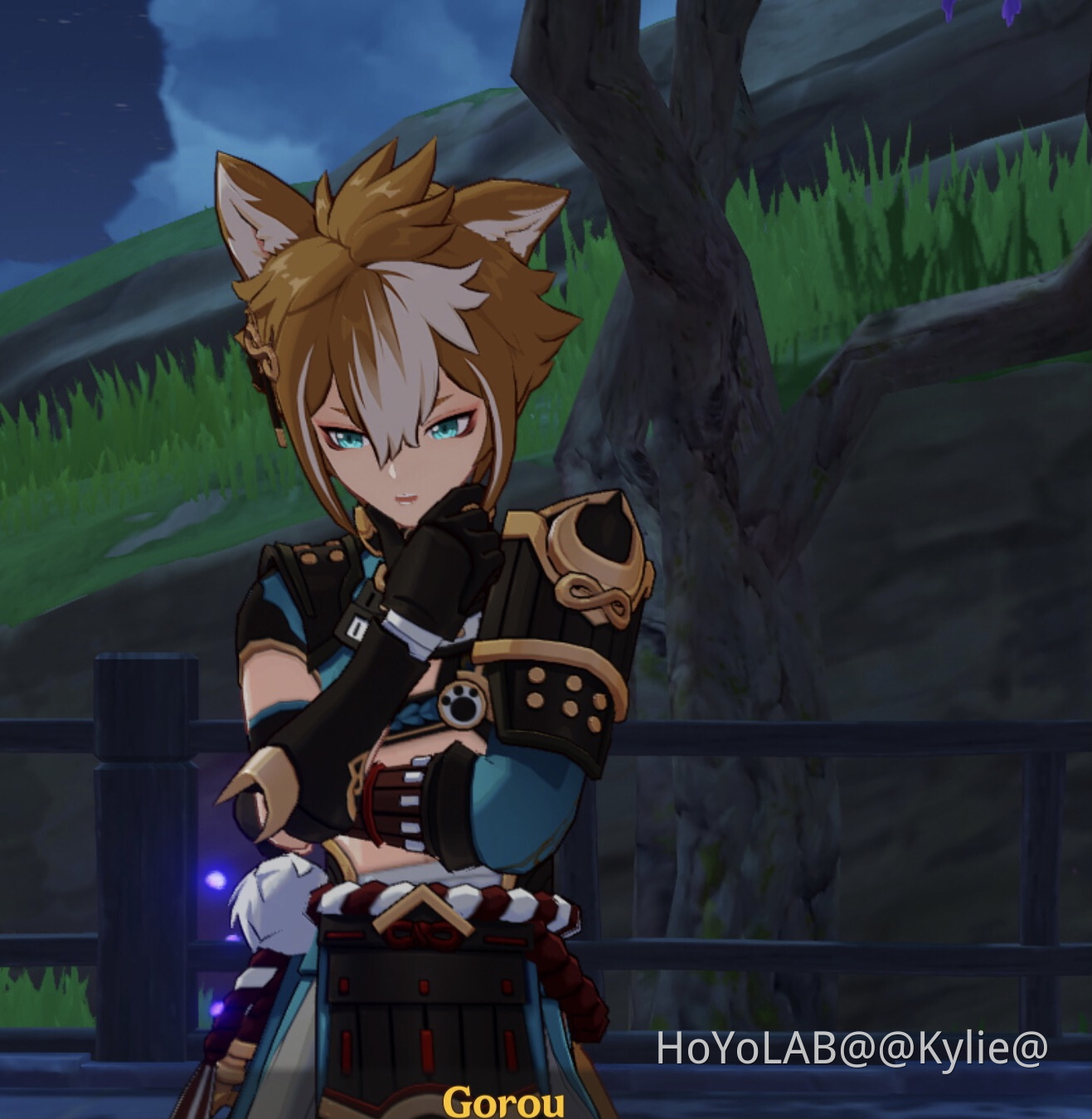 Two pictures of the dog gorou Genshin Impact | HoYoLAB