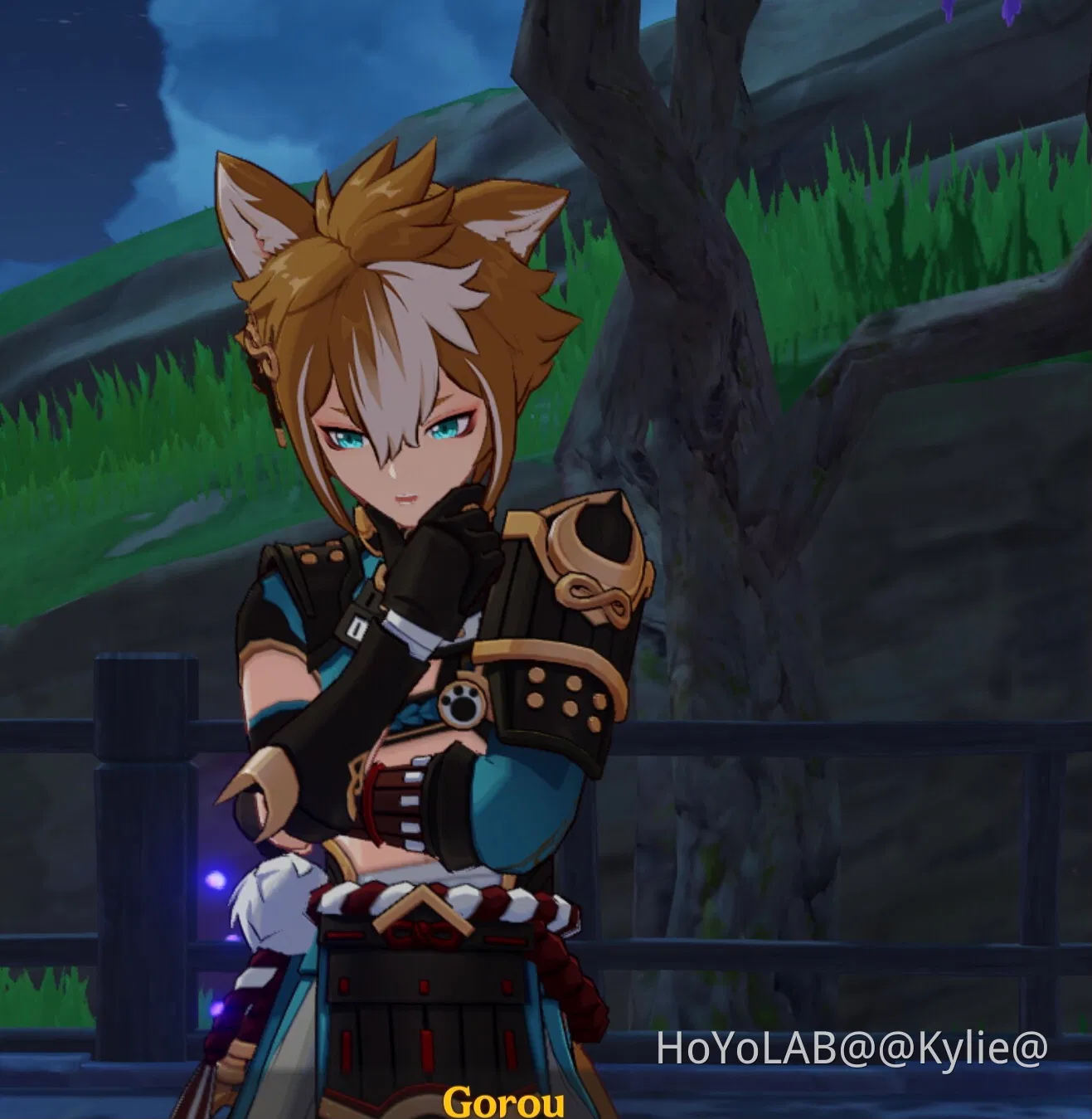 Two pictures of the dog gorou Genshin Impact | HoYoLAB