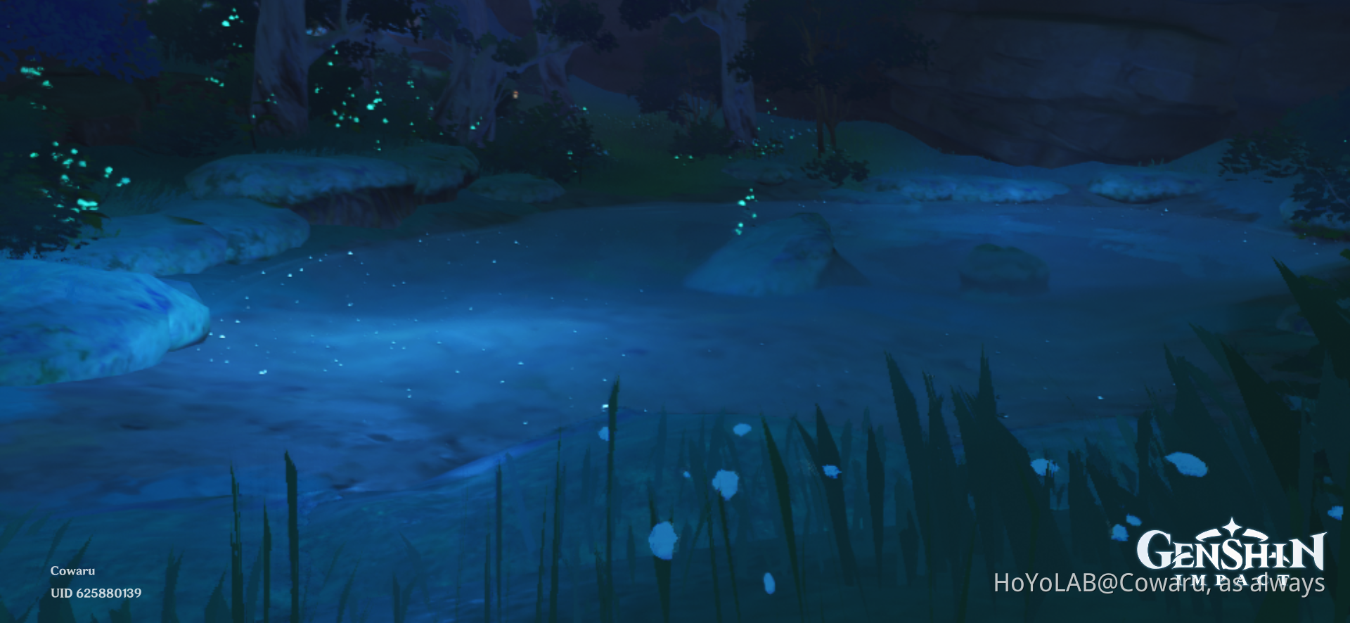 Night or day? Genshin Impact | HoYoLAB