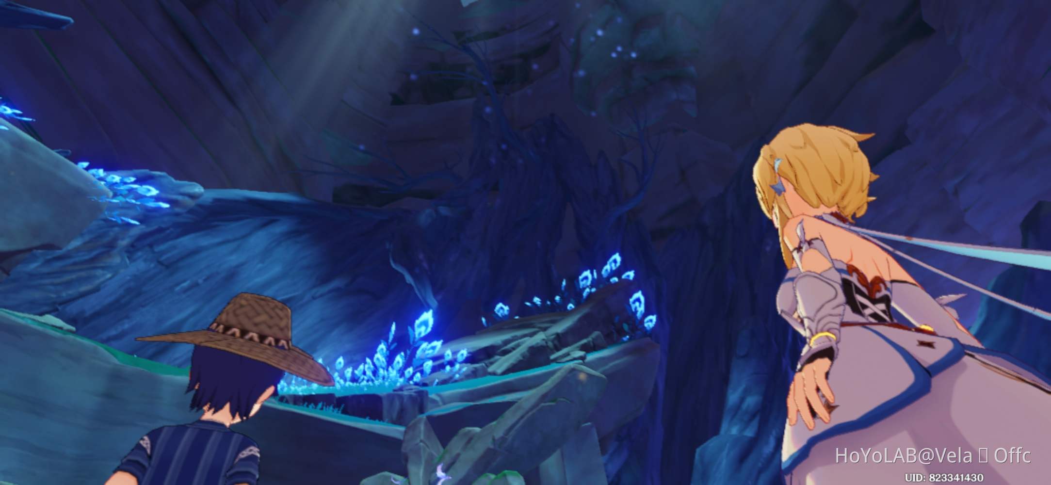 QUEST THUNDER BIRDS(Promise of Ruu and Kapatchir) Genshin Impact | HoYoLAB