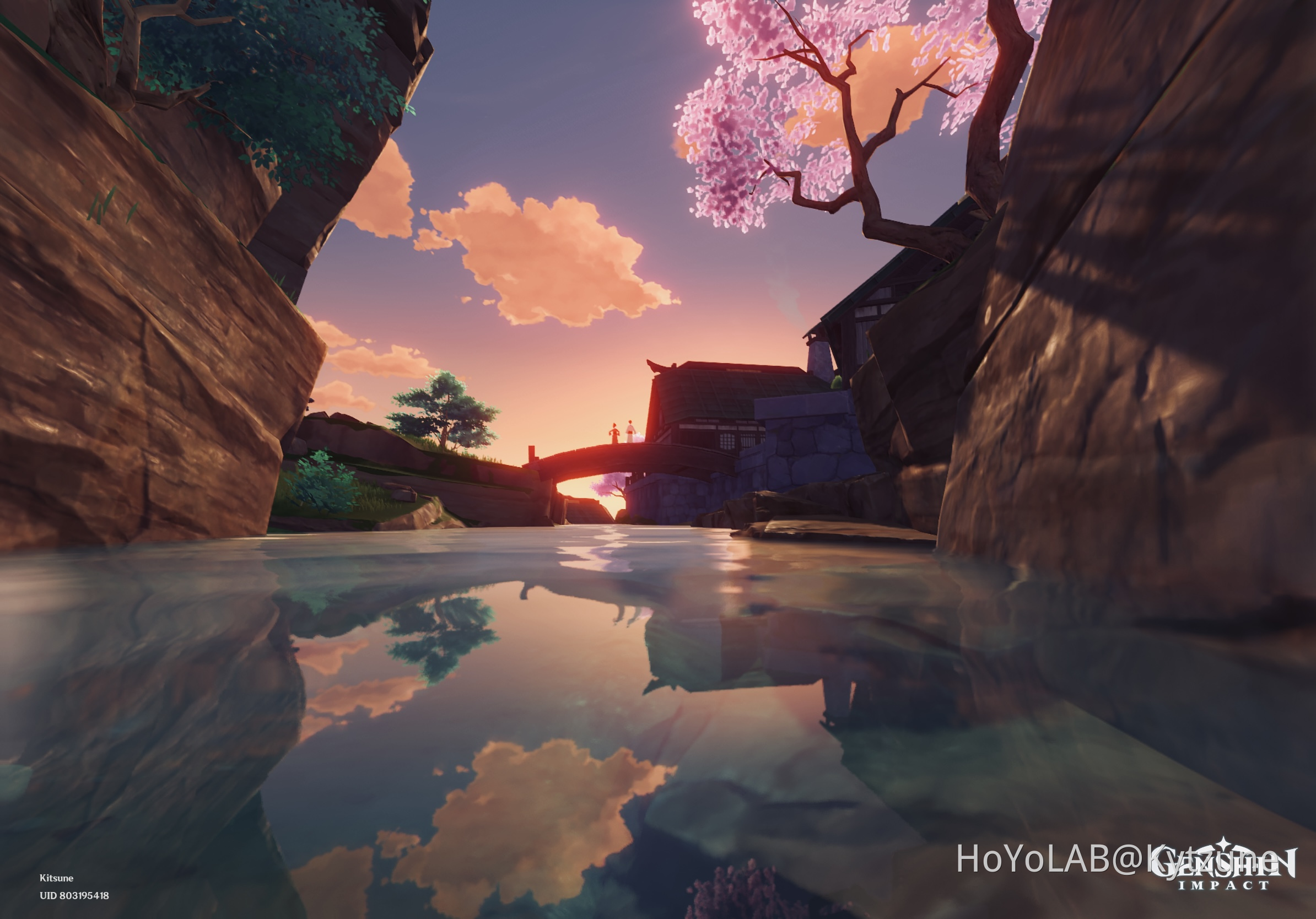 Inazuma photograph #3 Genshin Impact | HoYoLAB