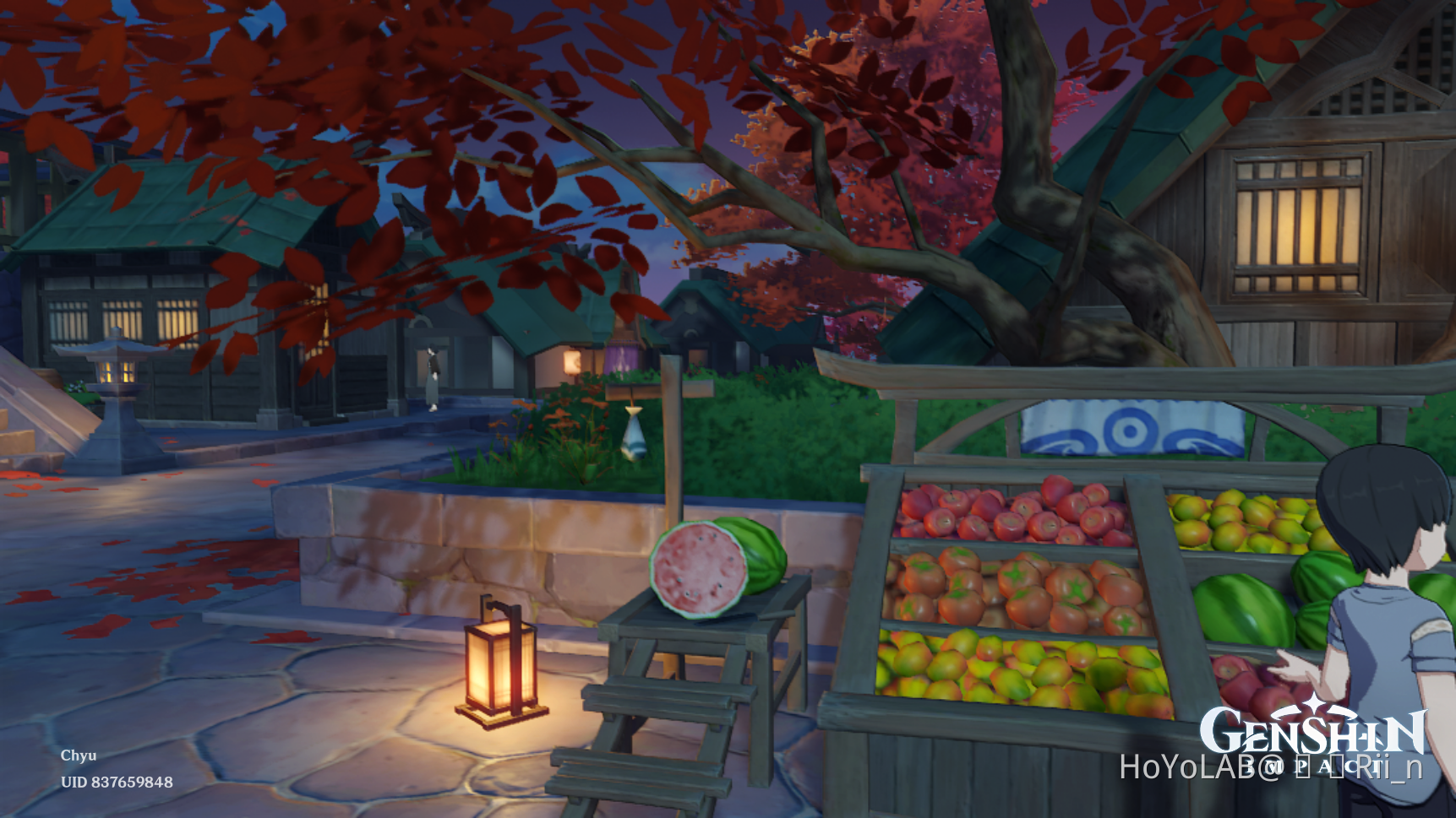 Night in Inazuma | Genshin Impact | HoYoLAB