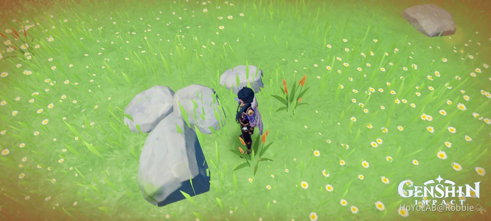 The rock by windrise Genshin Impact | HoYoLAB