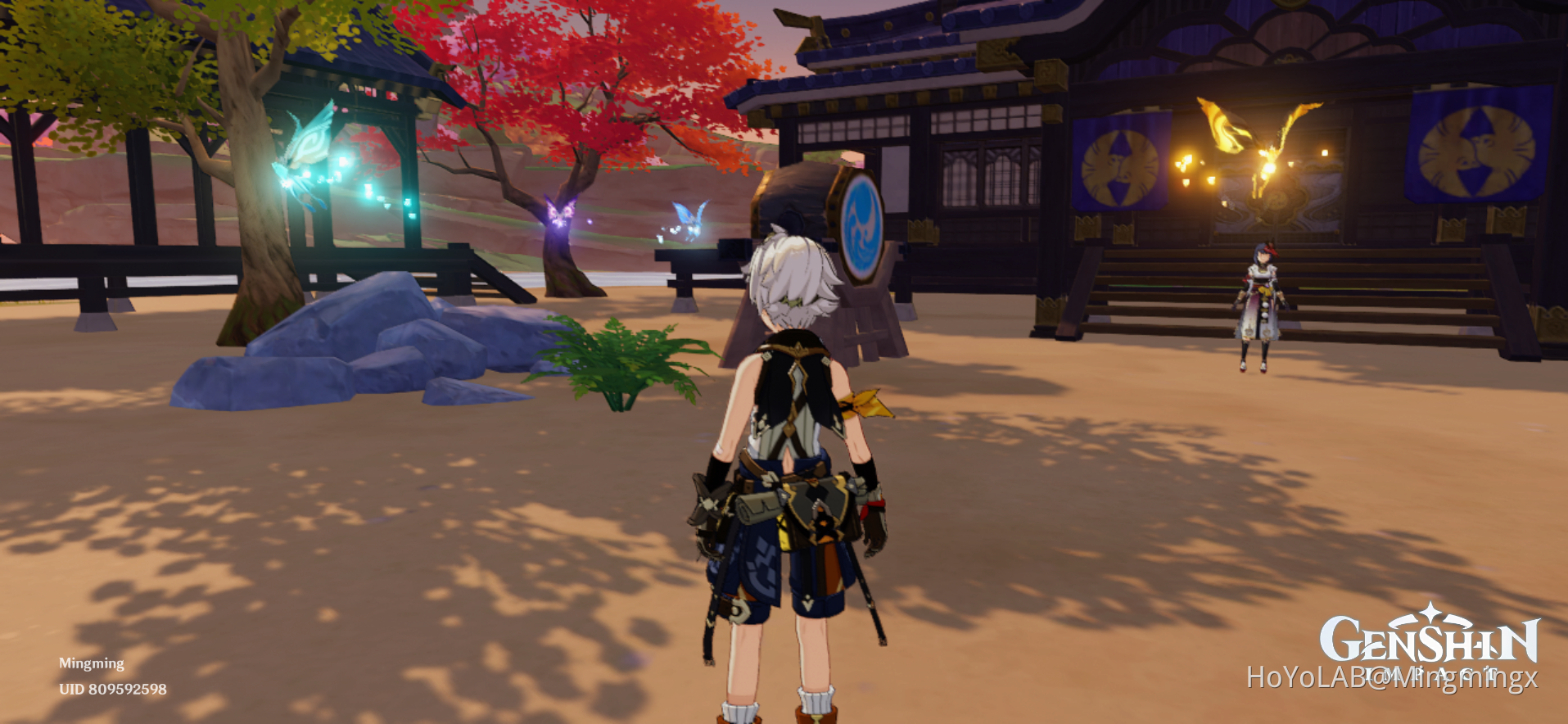 Crystal Fly Genshin Impact | HoYoLAB