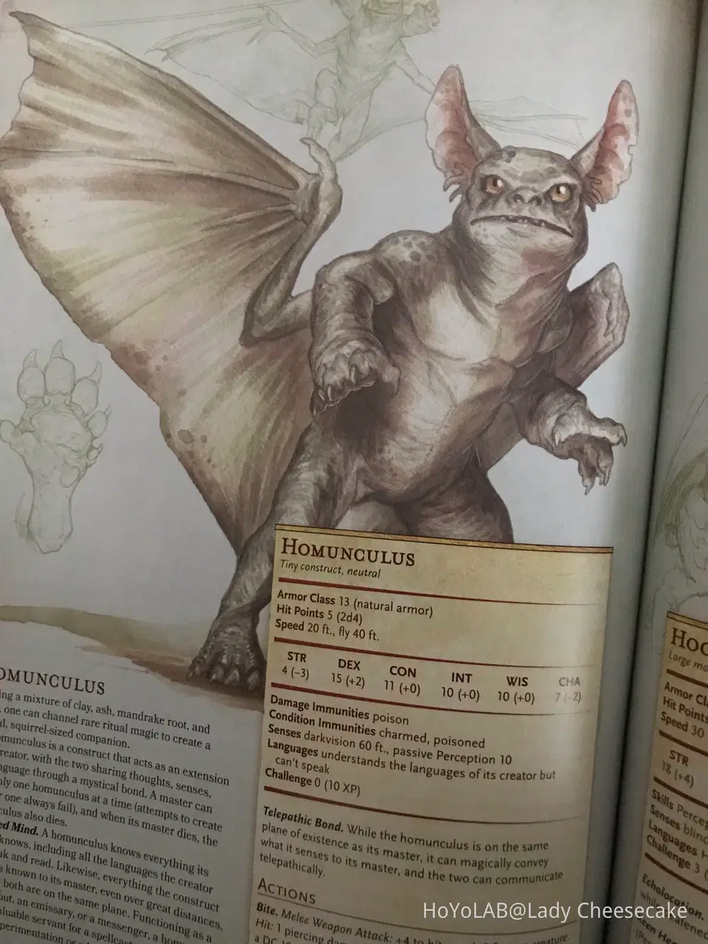 homunculus dnd