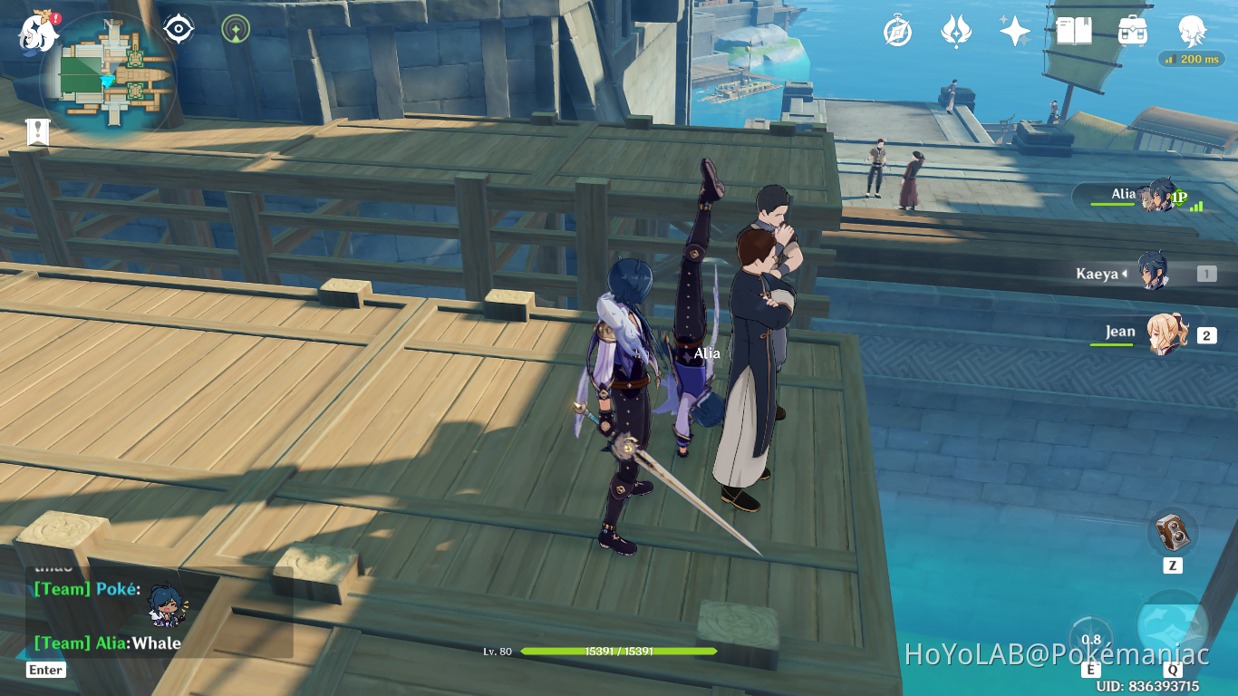 Random Co-op experience Genshin Impact | HoYoLAB