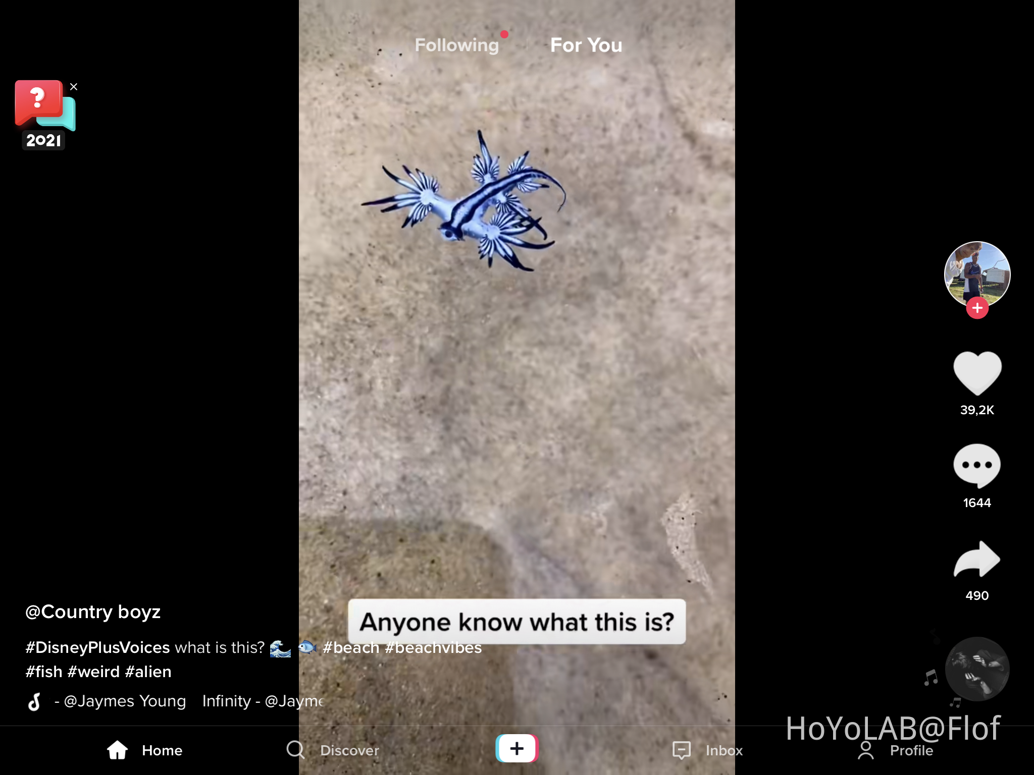 Devalin O-o Genshin Impact | HoYoLAB