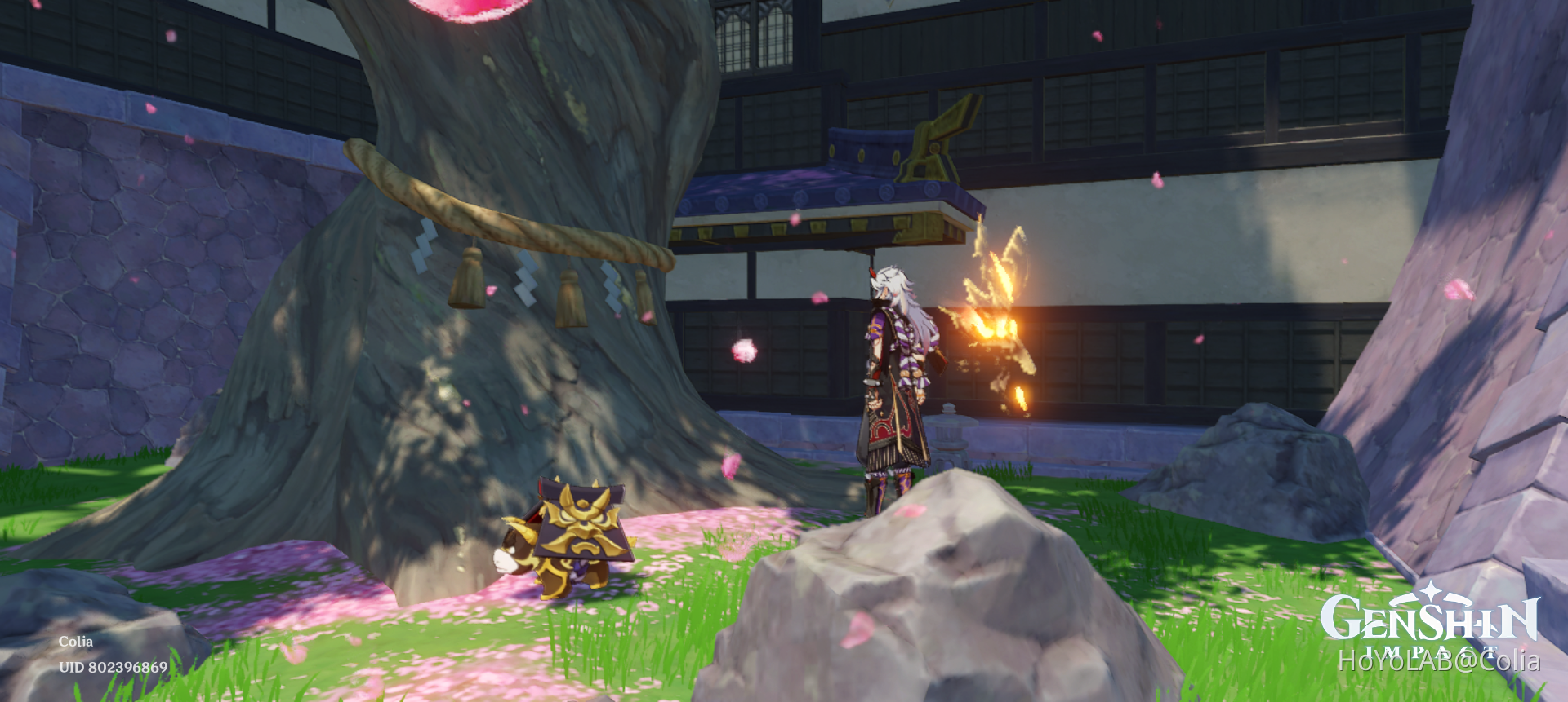 Sacred Tree~ | HoYoLAB