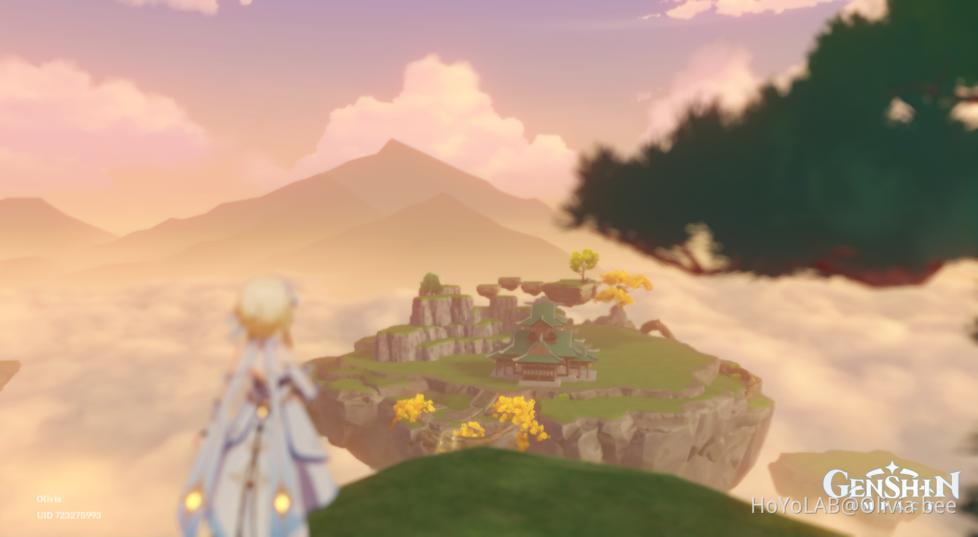 New design Genshin Impact | HoYoLAB