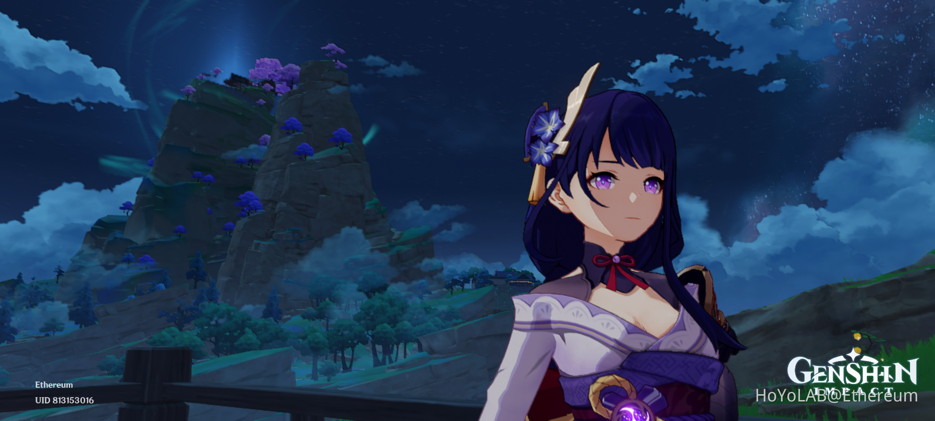 Raiden from the front, Ei From behind - Vice Versa | Genshin Impact ...