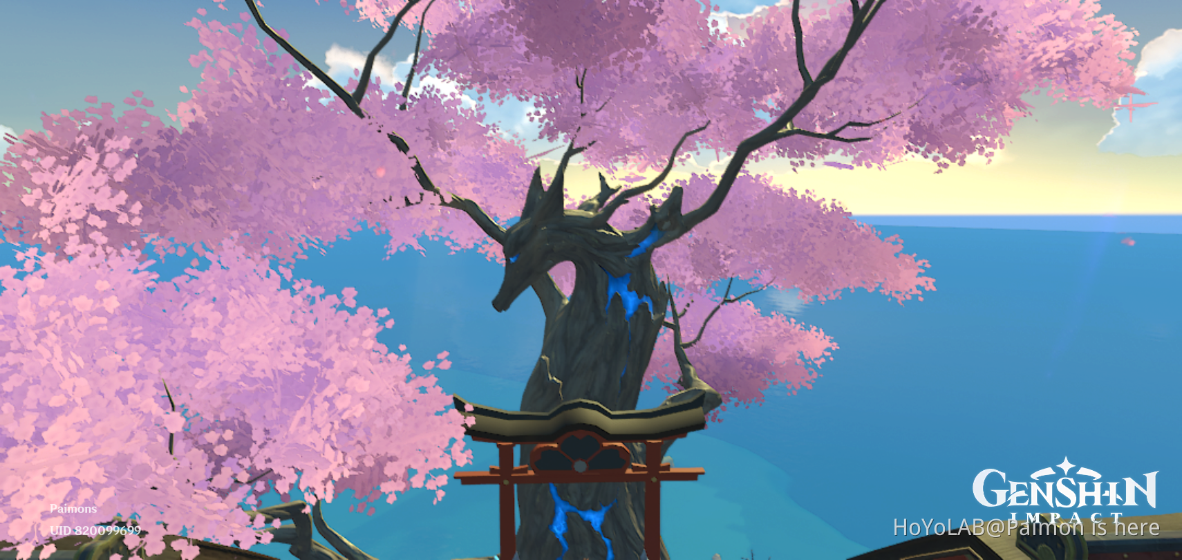 Sacred Sakura Tree Genshin Impact | HoYoLAB