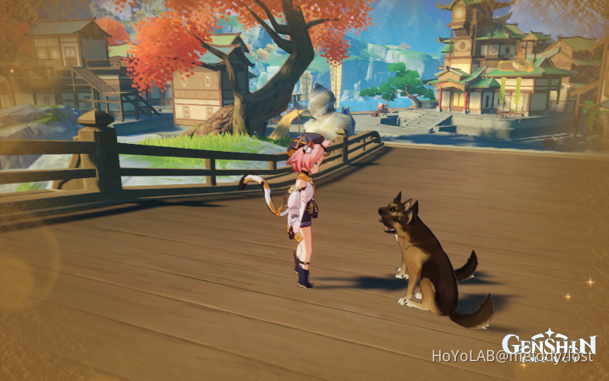 my dogs now Genshin Impact | HoYoLAB