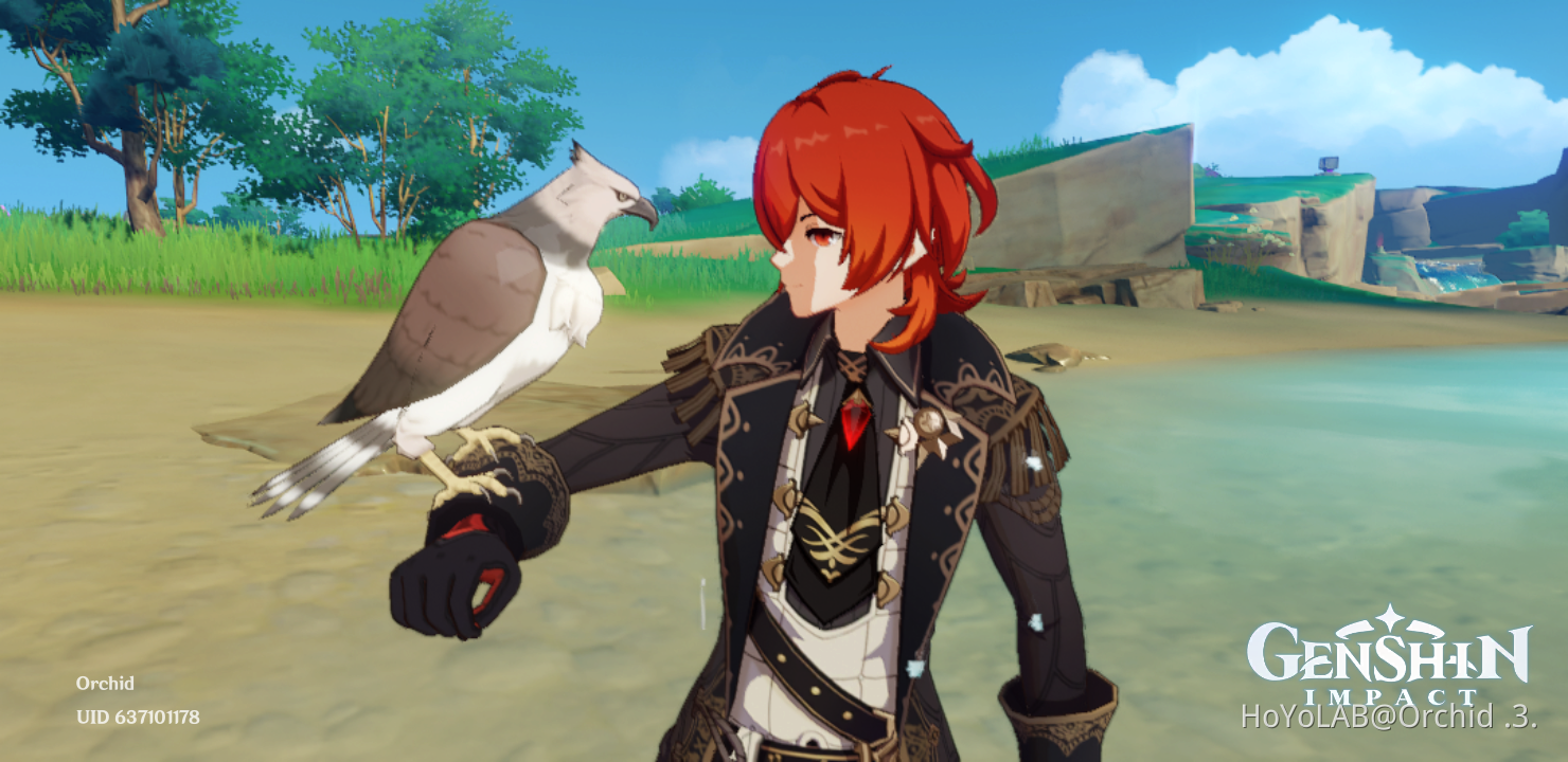 Diluc smiles when he pets his Falcon Genshin Impact | HoYoLAB