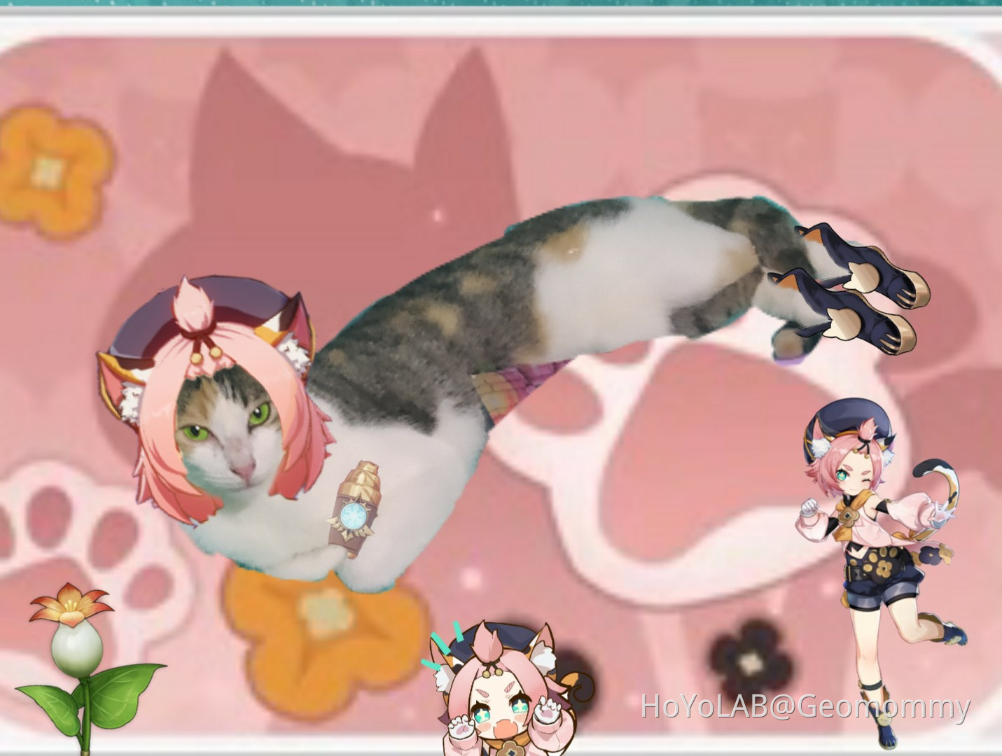 Gato haciendo cosplay de furra Genshin Impact | HoYoLAB