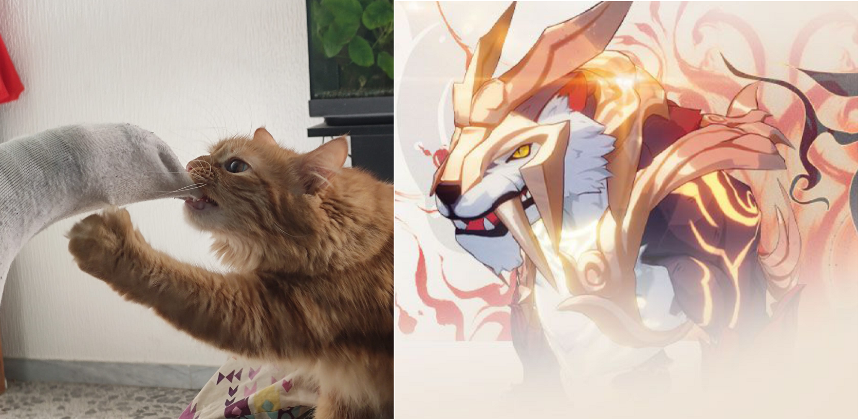 real huodou Honkai Impact 3rd | HoYoLAB