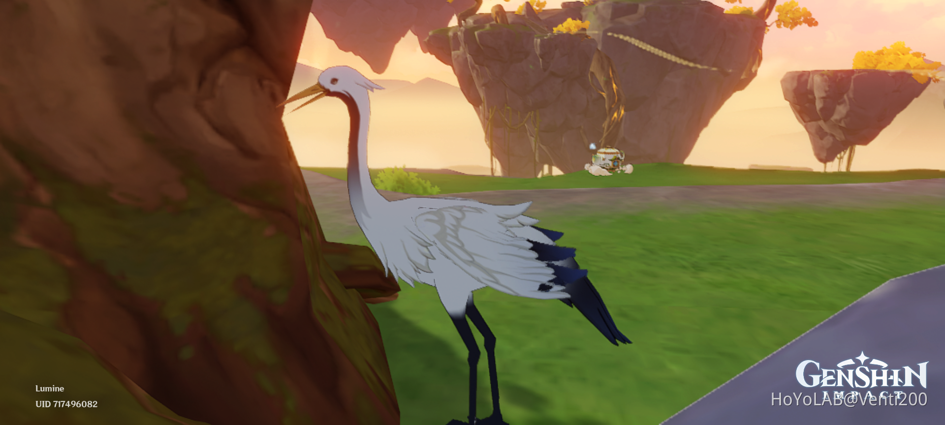 Animals Genshin Impact | HoYoLAB