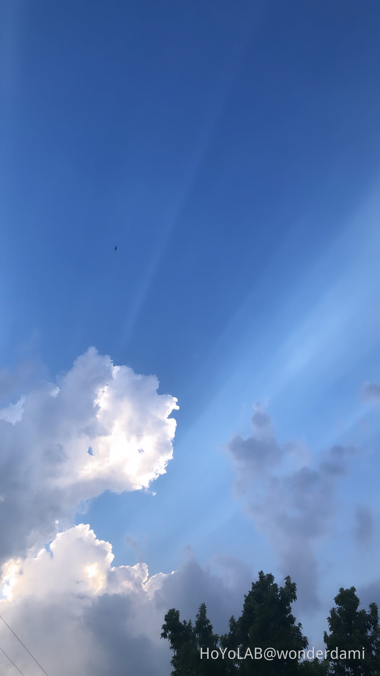 uwus Genshin Impact | HoYoLAB