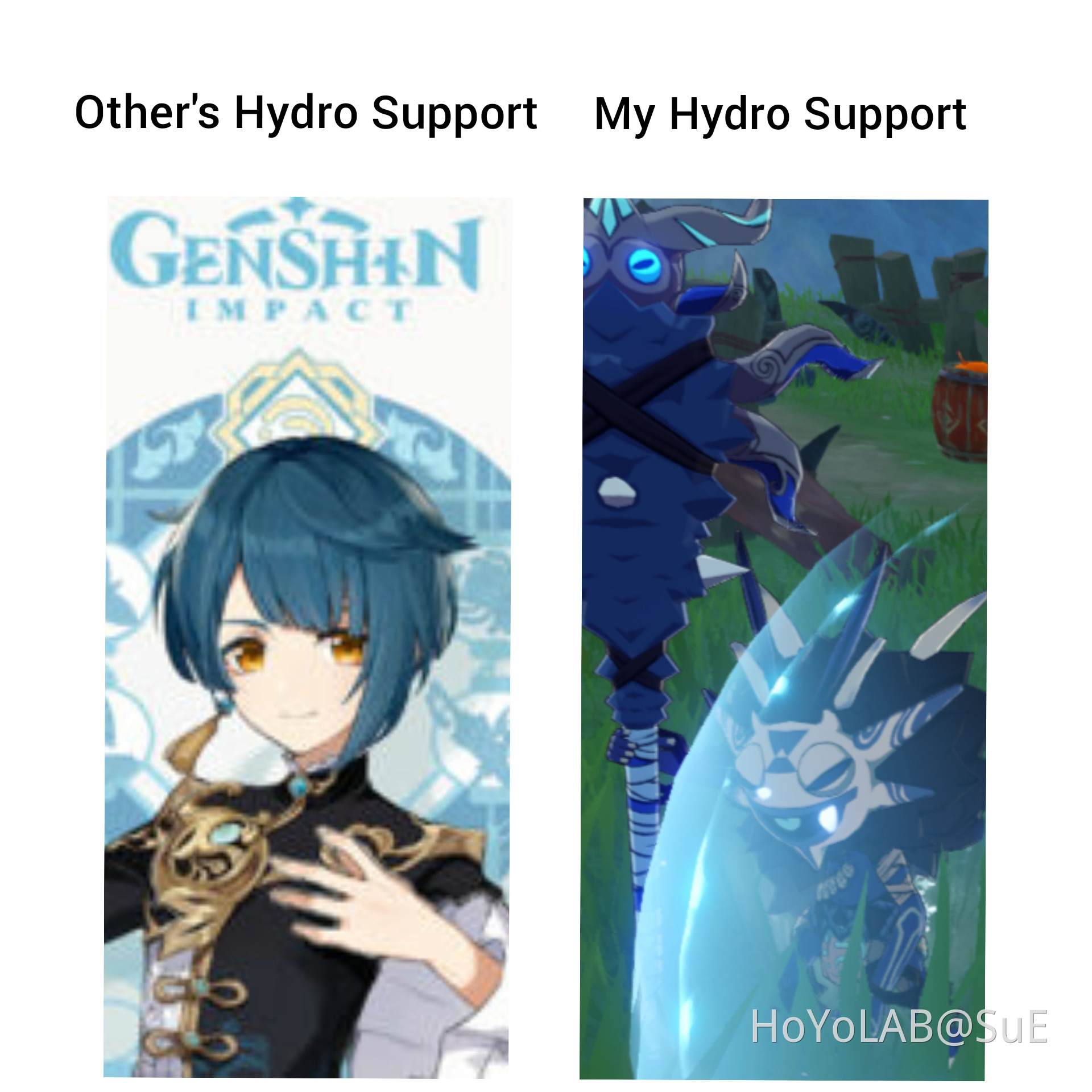 Best Hydro Support! Genshin Impact | HoYoLAB