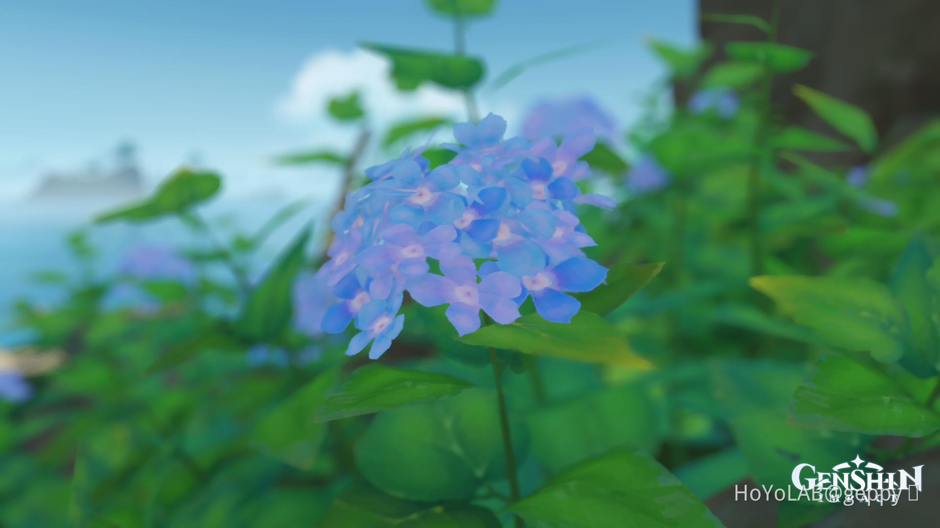 flora of inazuma Genshin Impact | HoYoLAB