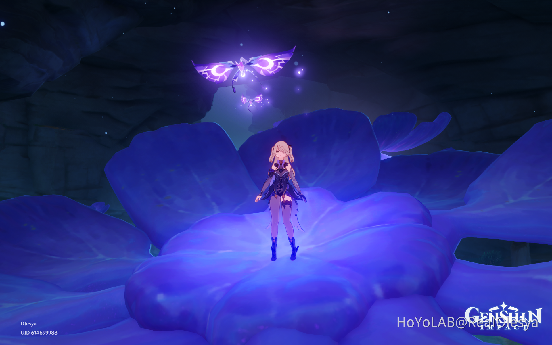 Friendly Enkanomiya Crystalflies