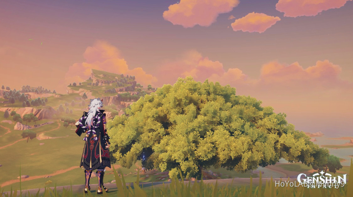 The tree where it all began… Genshin Impact | HoYoLAB