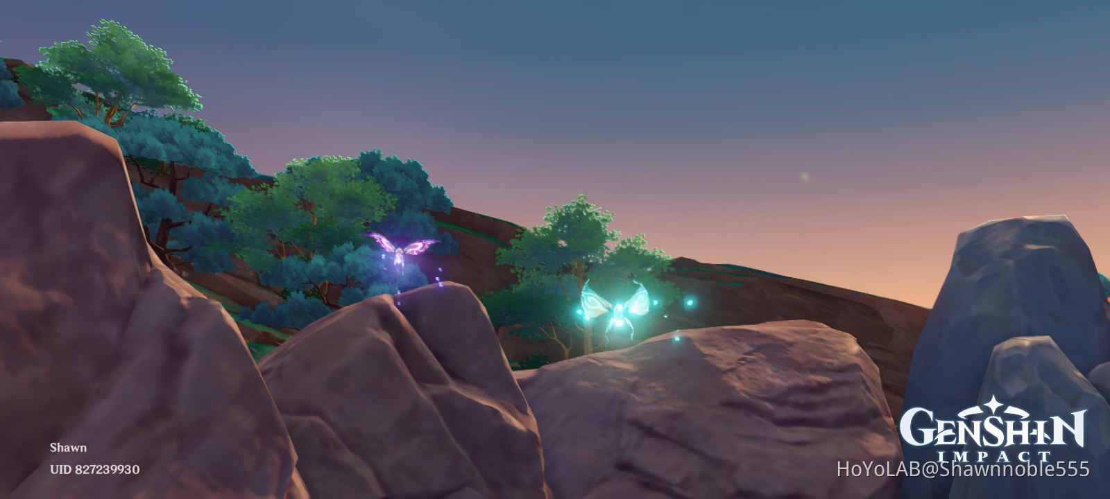 Crystalflies... A myth, or a fact? Genshin Impact | HoYoLAB