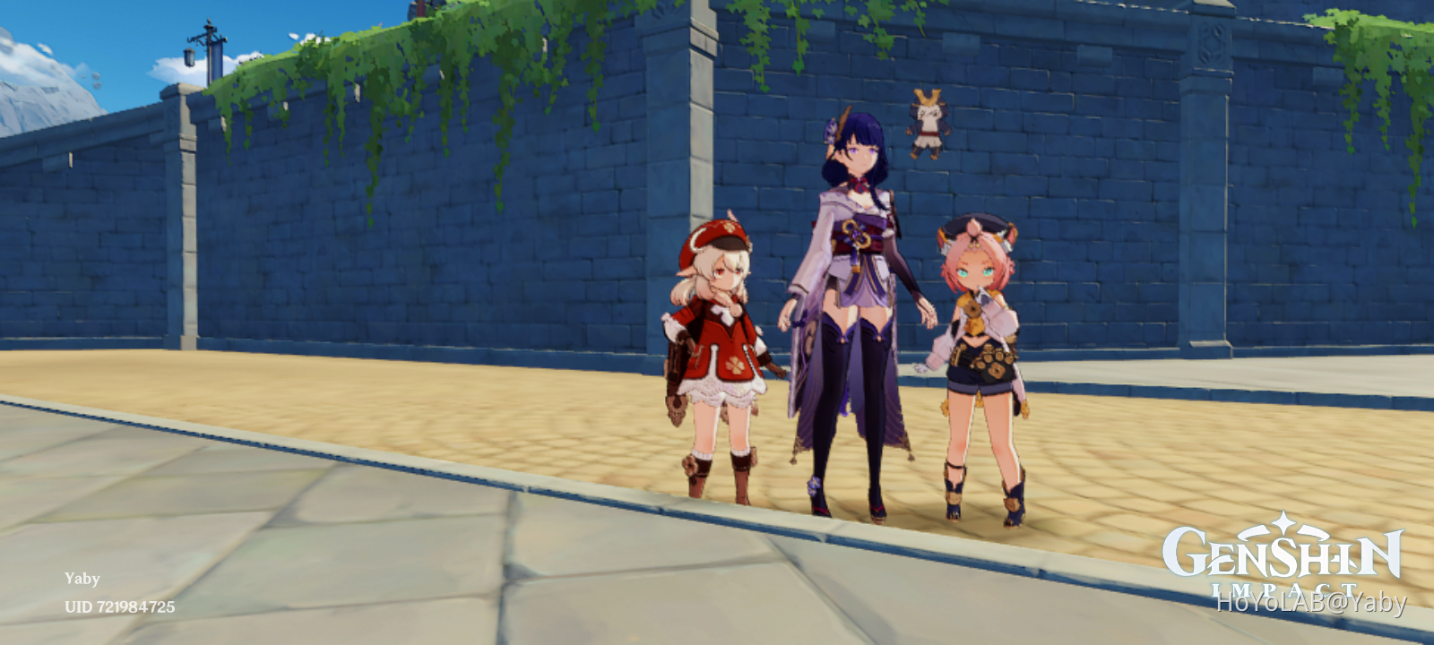 baby-sitter Raiden Genshin Impact | HoYoLAB