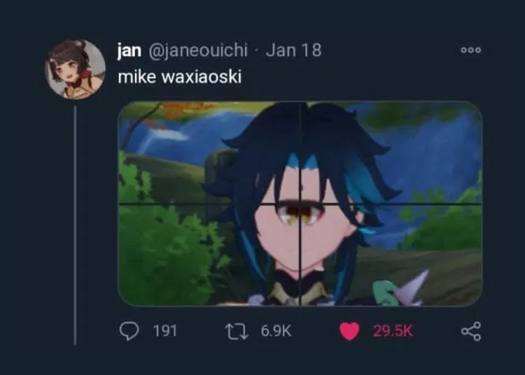 AYEEE meme time | Genshin Impact | HoYoLAB