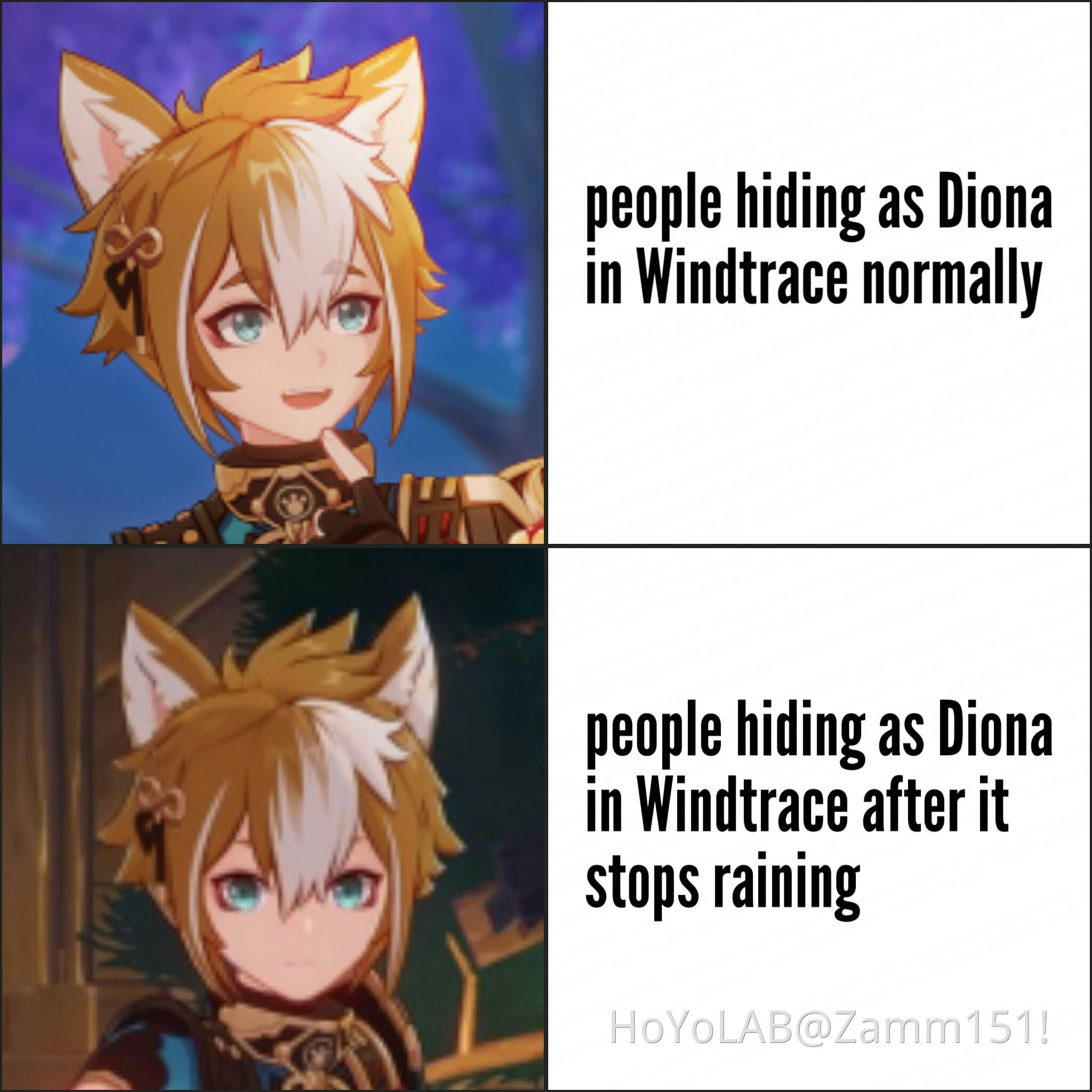 hey- a Windtrace meme Genshin Impact | HoYoLAB