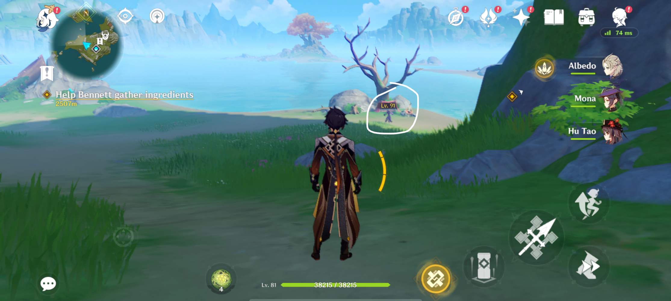 Mats Pt 5 (cicin mages, uhh stealthy assassin dude) Genshin Impact ...