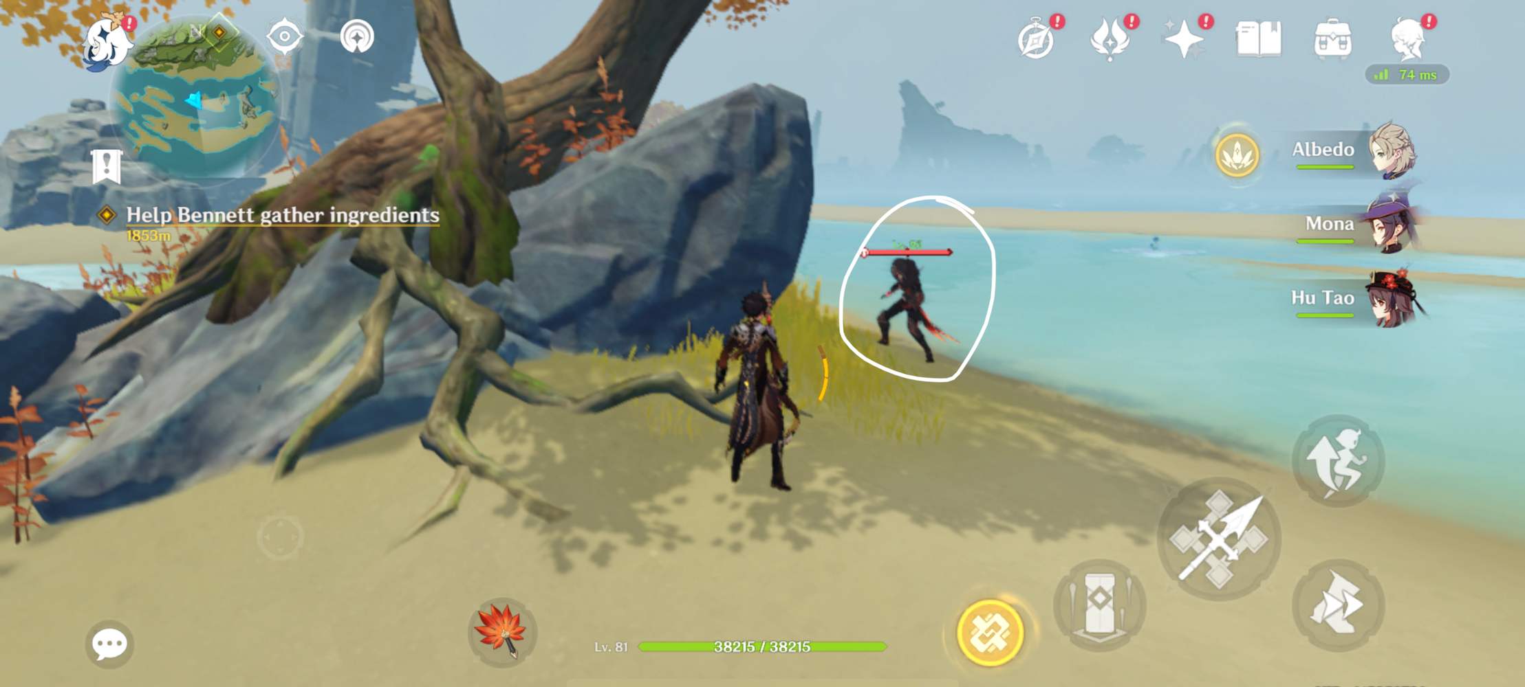 Mats Pt 5 (cicin mages, uhh stealthy assassin dude) Genshin Impact ...