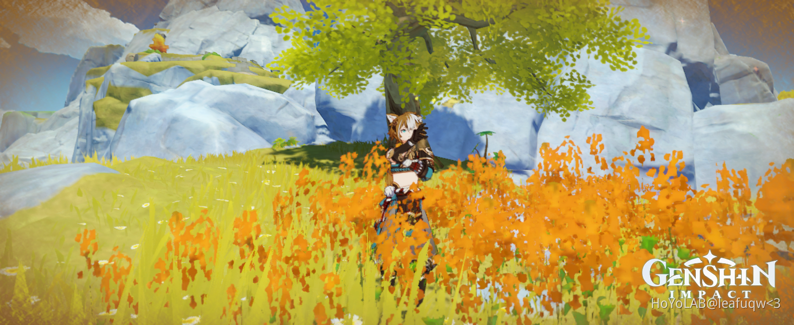 baby gorou 😭🤚 Genshin Impact | HoYoLAB