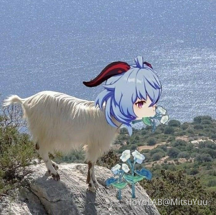 Goat Genshin Impact | HoYoLAB