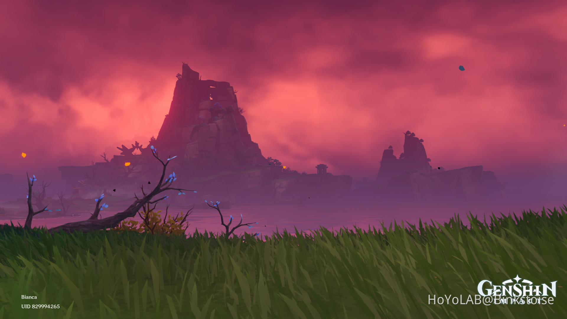 Red Genshin Impact | HoYoLAB