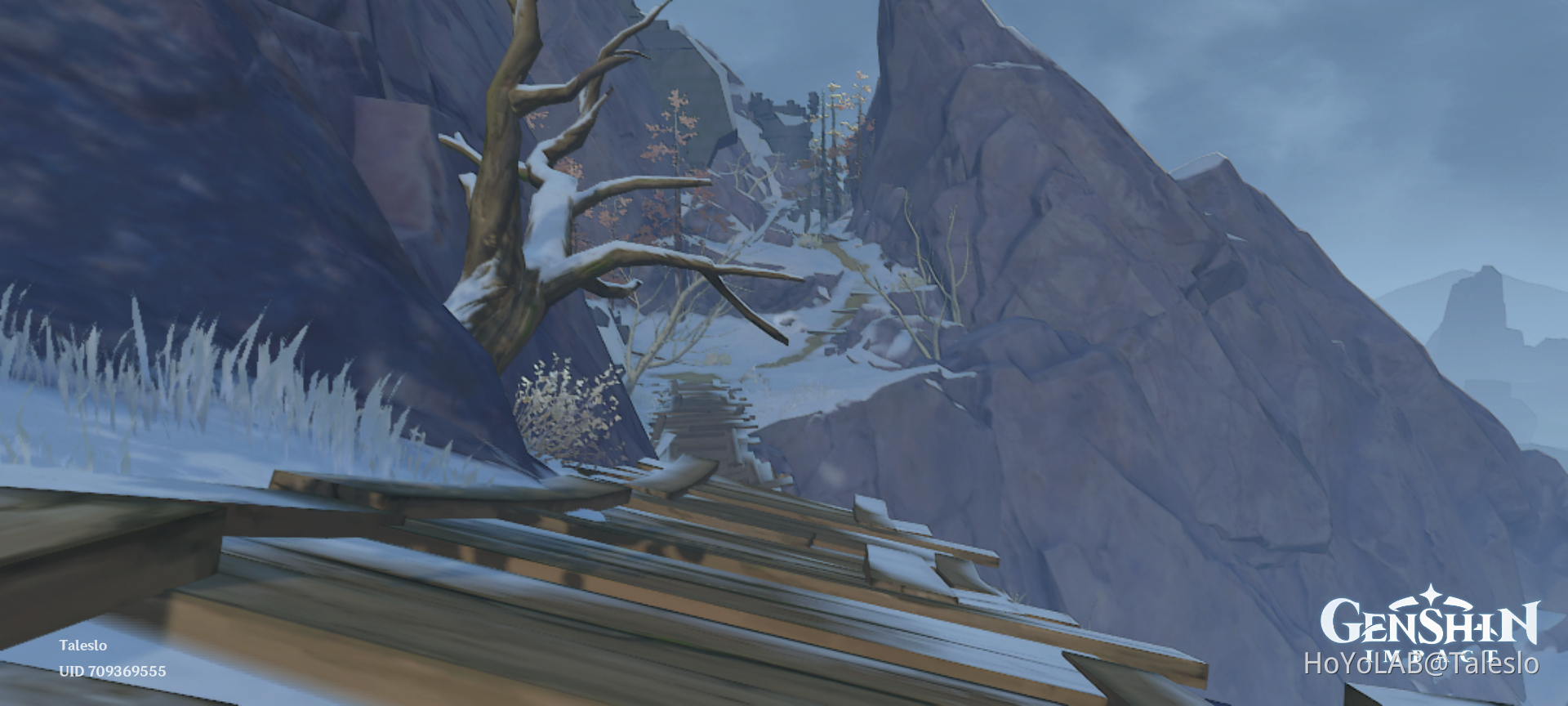 some dragonspine shots Genshin Impact | HoYoLAB