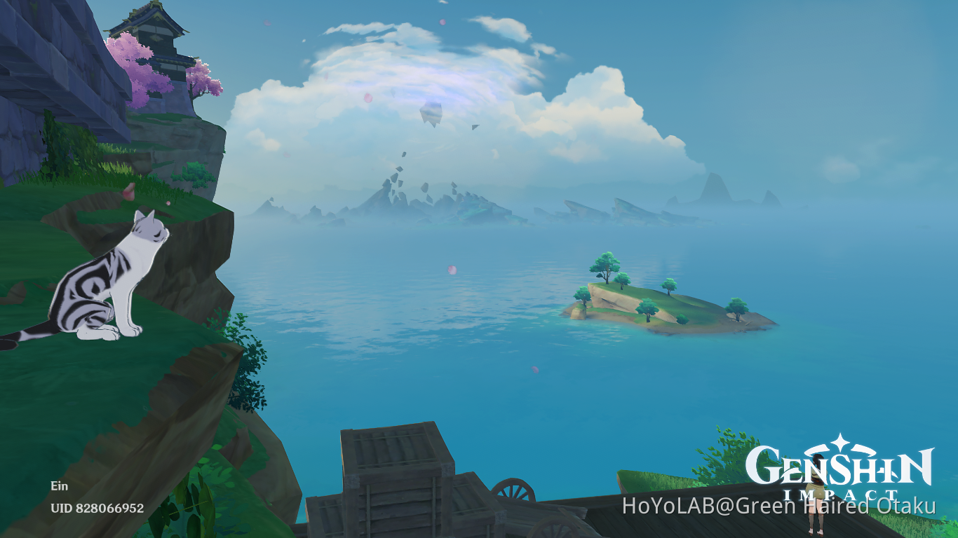 Some pictures of cats in Inazuma Genshin Impact | HoYoLAB