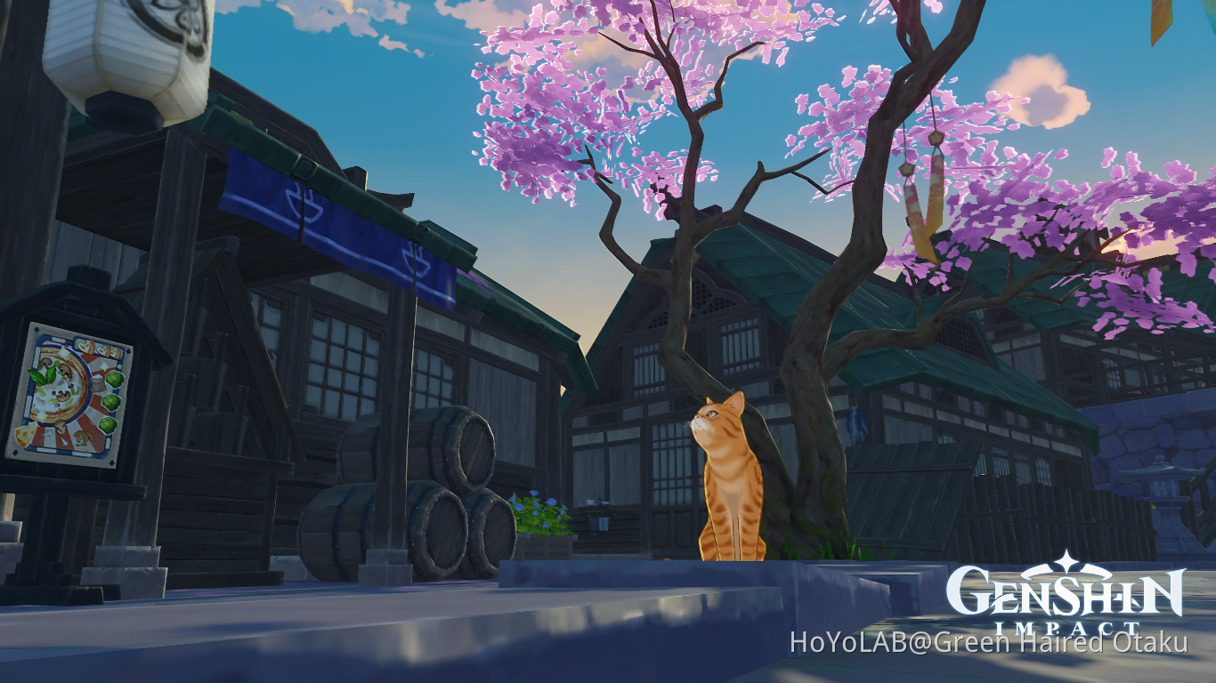 Some pictures of cats in Inazuma - Player Community