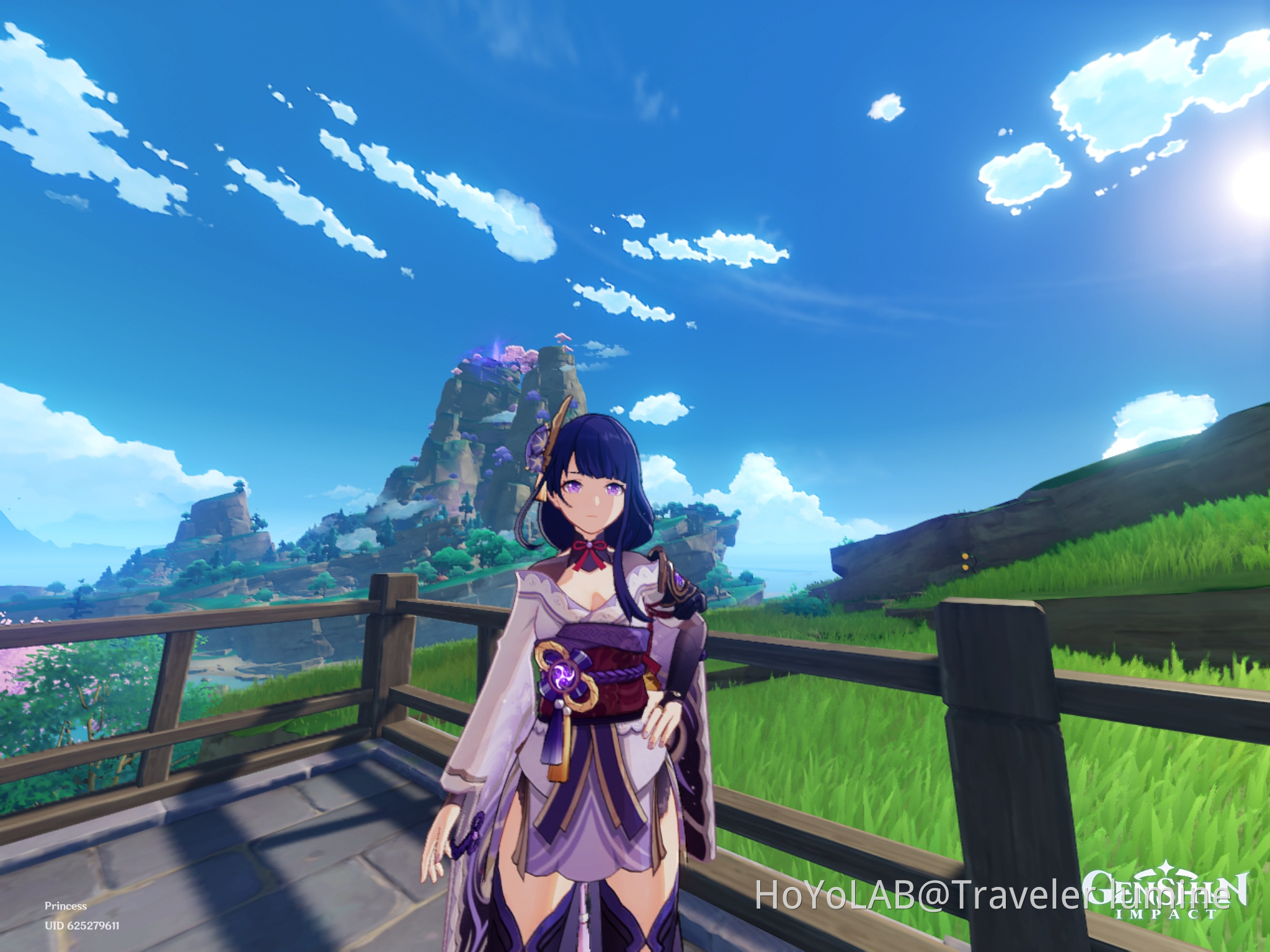 Took a photo of Ei Genshin Impact | HoYoLAB