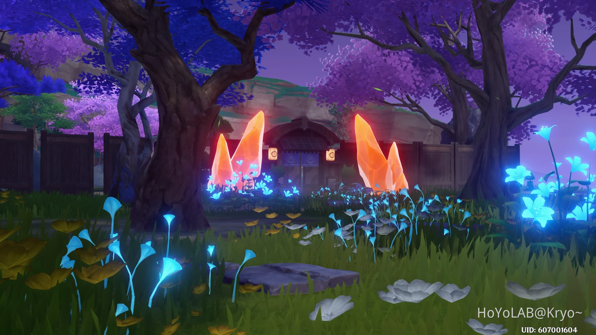 Night time is always better Genshin Impact | HoYoLAB