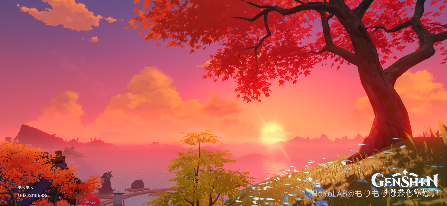 Another sunset in inazuma Genshin Impact | HoYoLAB